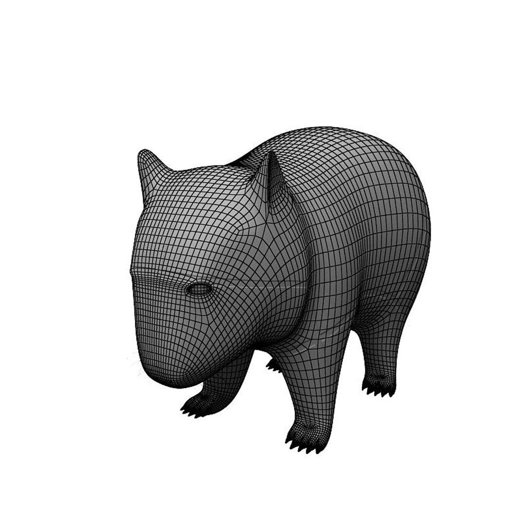 Wombat Animals Marsupials 3d Model