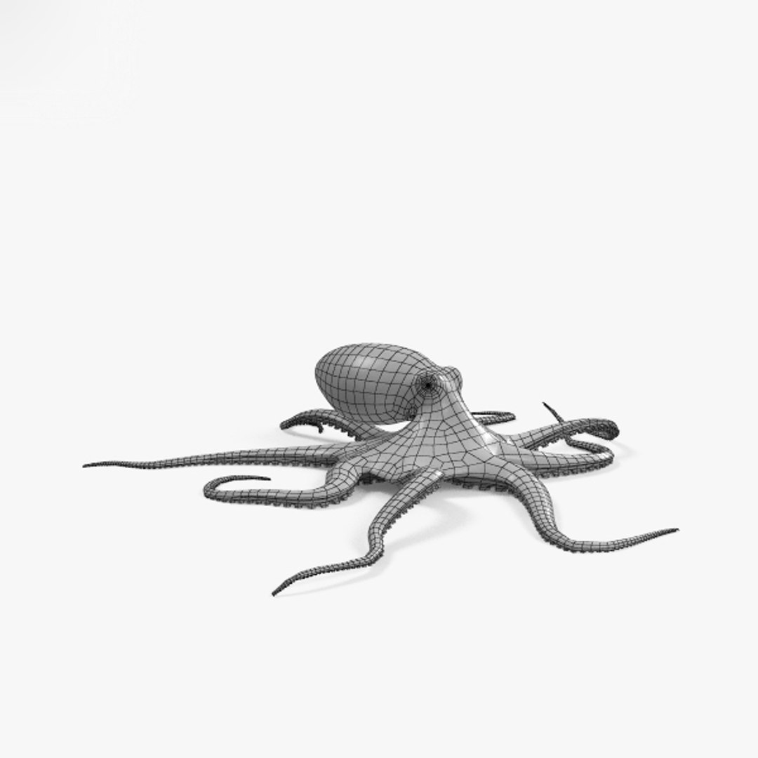 3D common octopus - TurboSquid 1356868
