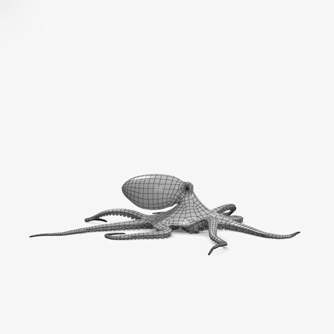 3D common octopus - TurboSquid 1356868
