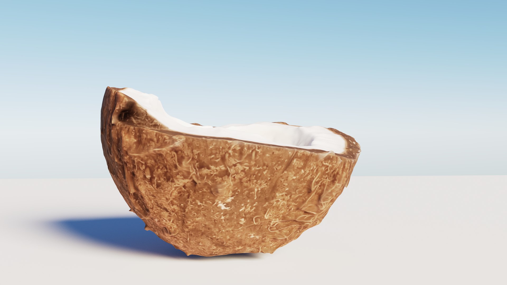 3D Photorealistic 3D Scan Of Half A Coconut - TurboSquid 2291640