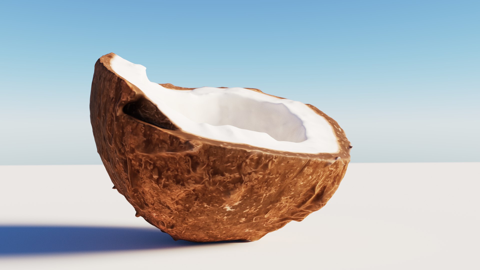 3D Photorealistic 3D Scan Of Half A Coconut - TurboSquid 2291640