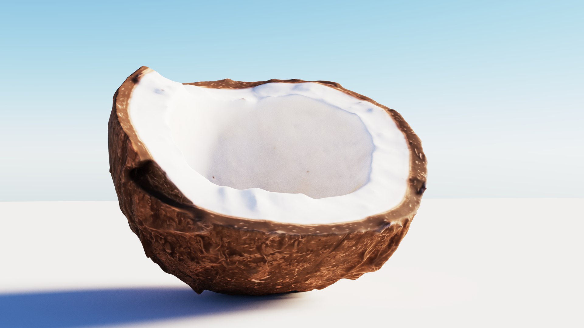 3D Photorealistic 3D Scan Of Half A Coconut - TurboSquid 2291640