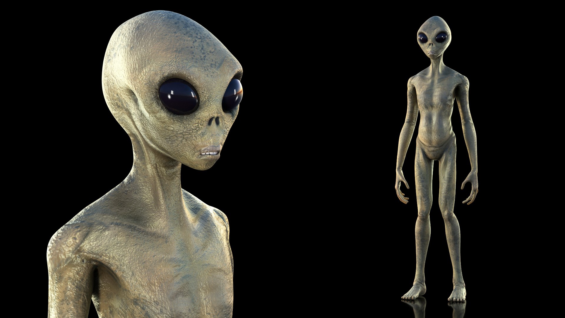 3D Standing Humanoid Alien model - TurboSquid 1871144