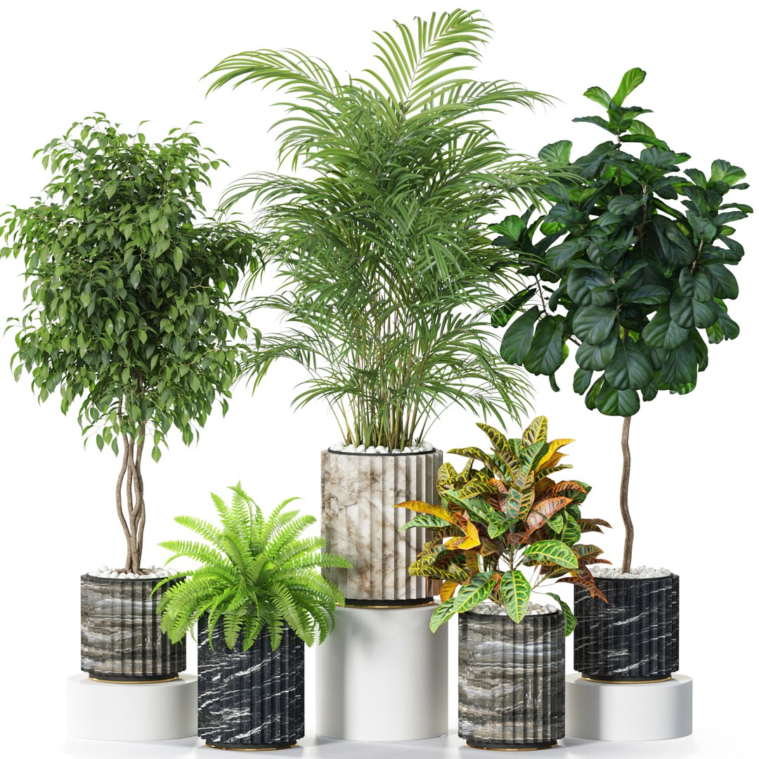 3D Plants Collection 619 - TurboSquid 1860536