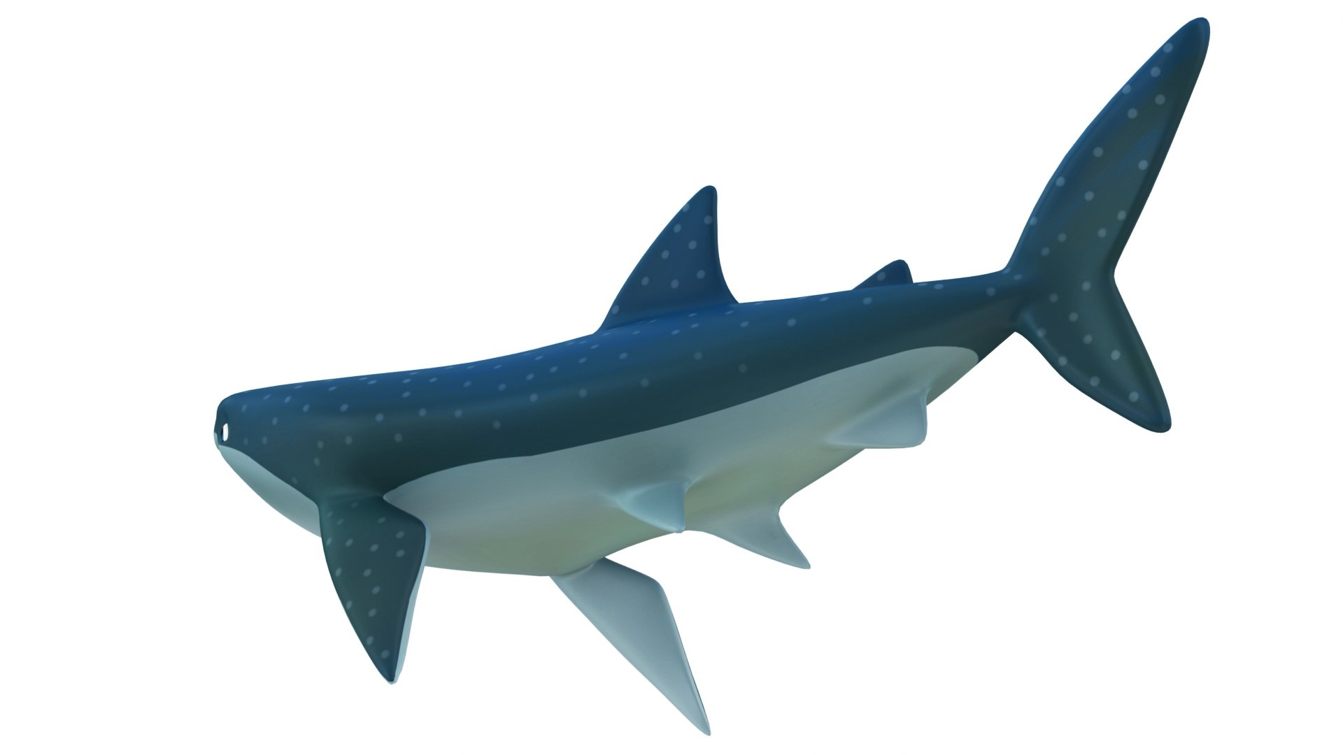 3D Cartoon Shark Collection Model - TurboSquid 2094740