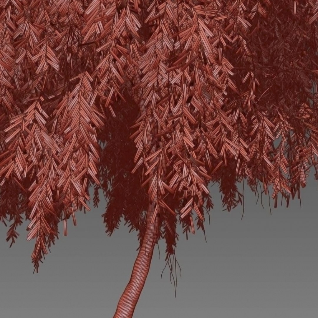 Weeping Willow 3 3D Model - TurboSquid 1948484