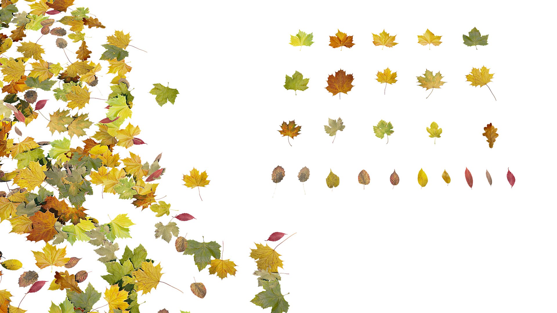 3D autumn leaves set - TurboSquid 1701660
