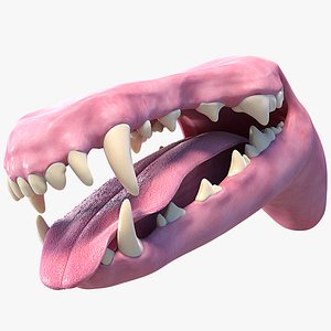dog teeth animation