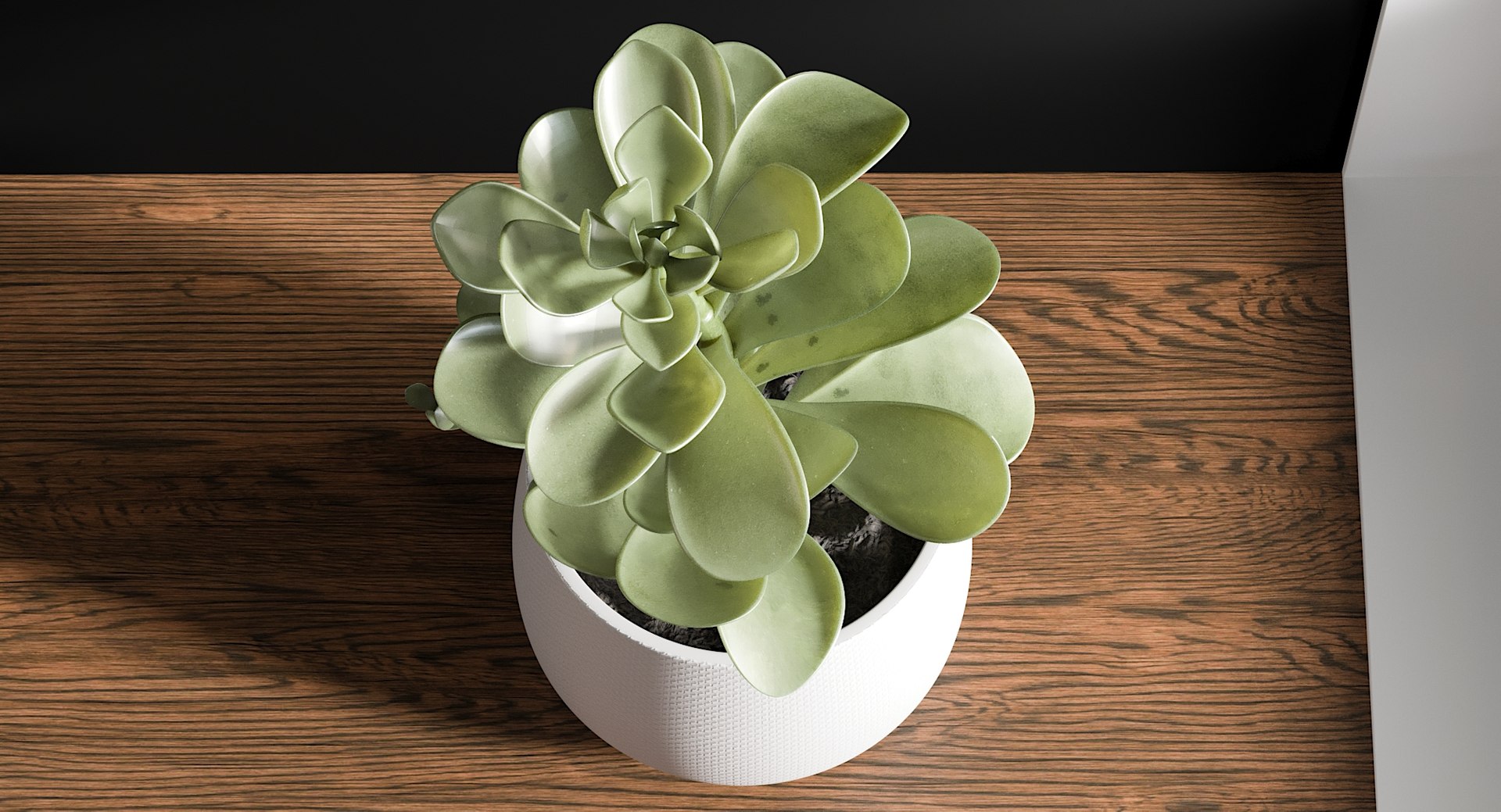 3D Realistic Potted Faux Succulent Model - TurboSquid 1466393
