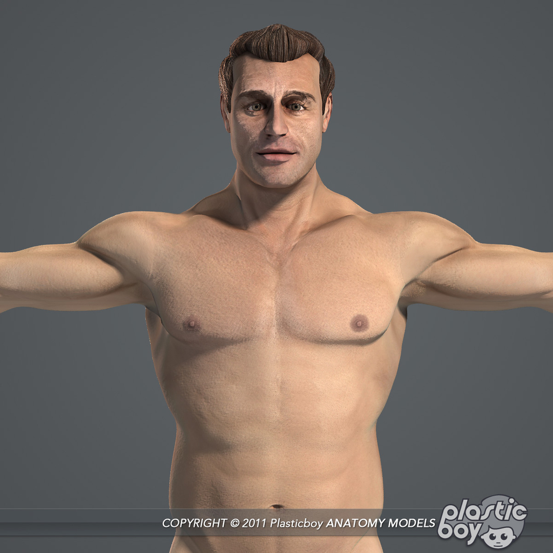 3d human digestive male body model