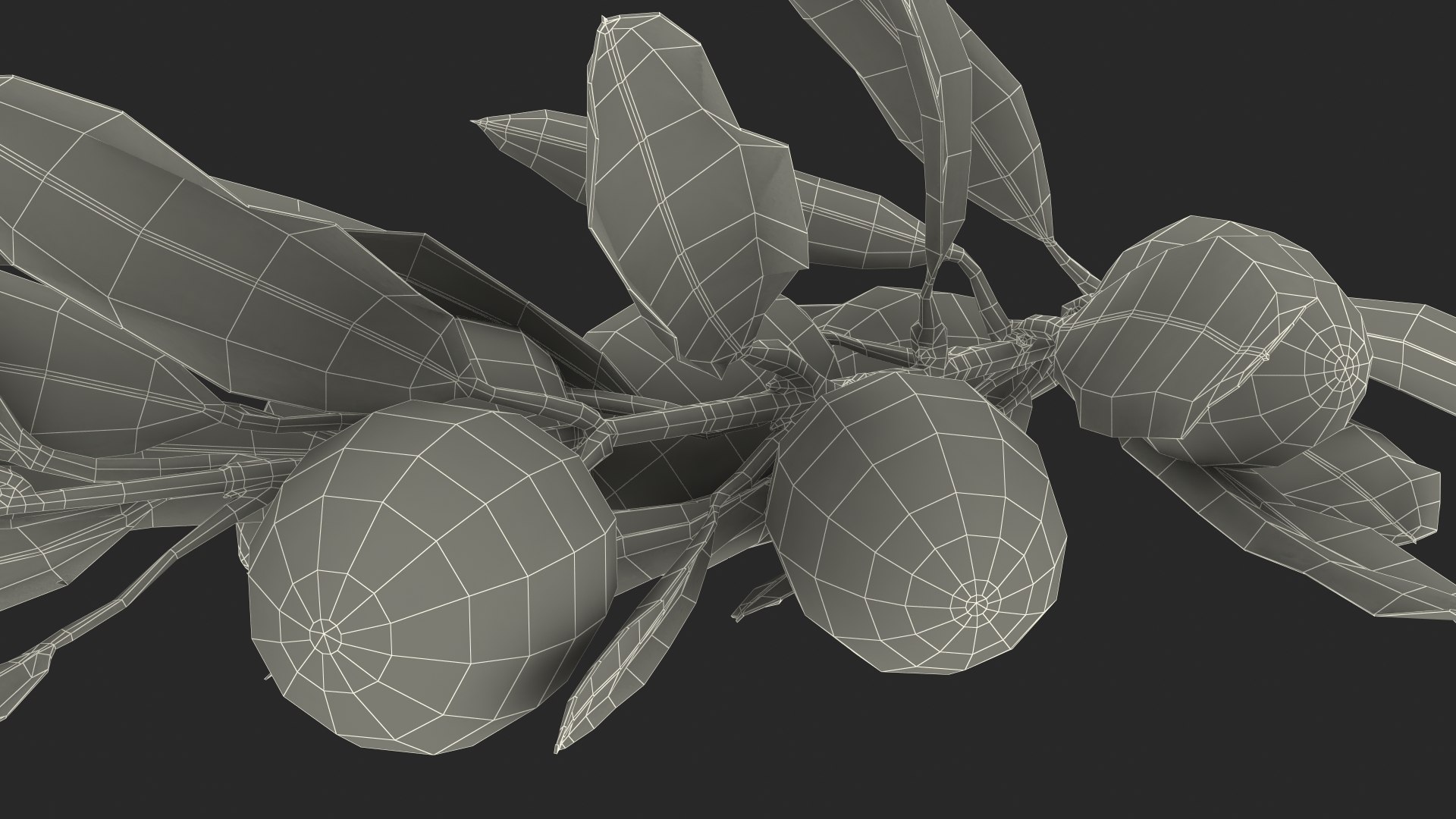 3D Olive Branch With Green Olives Lying - TurboSquid 1947590