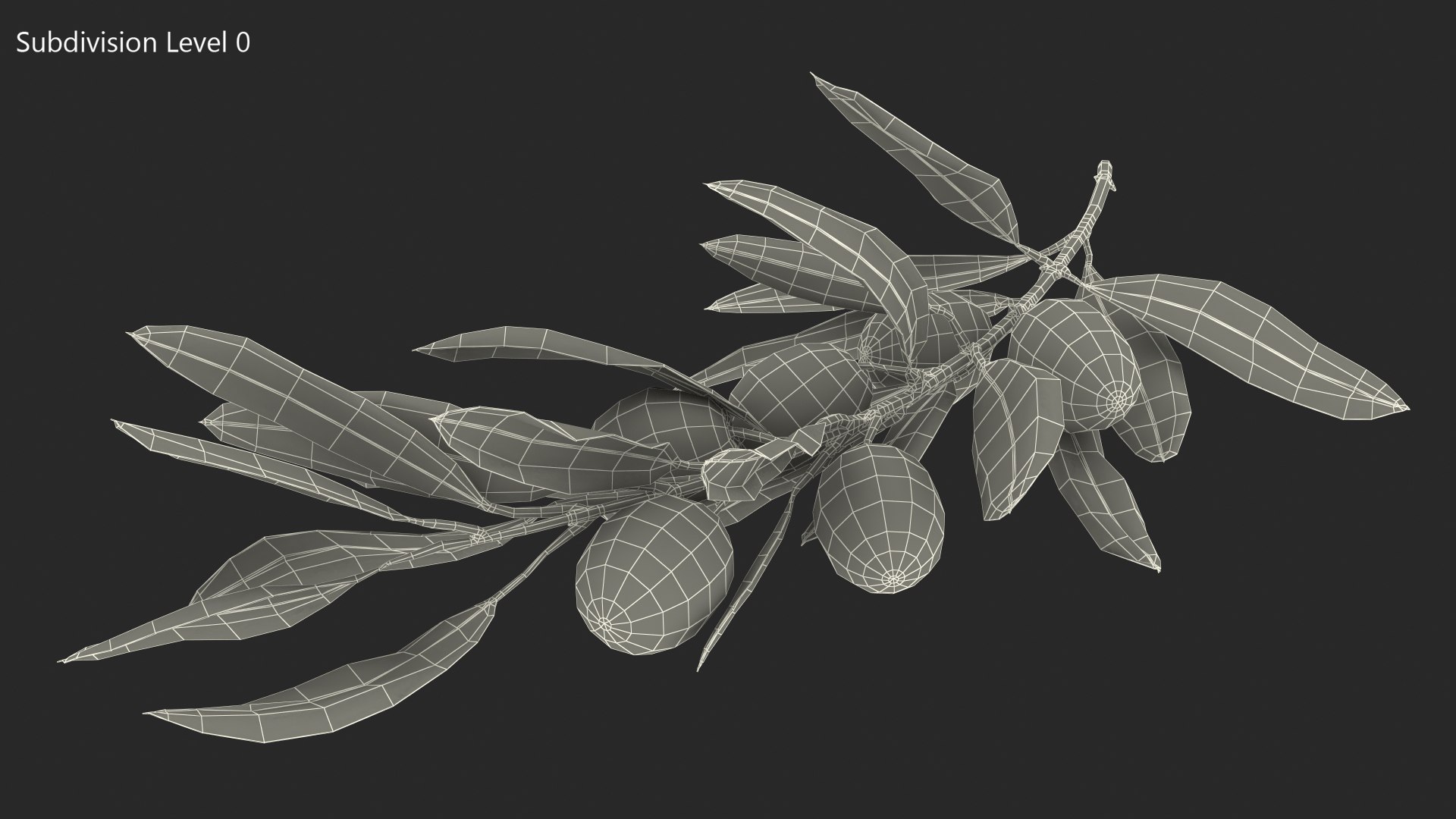 3D Olive Branch with Green Olives Lying - TurboSquid 1947590