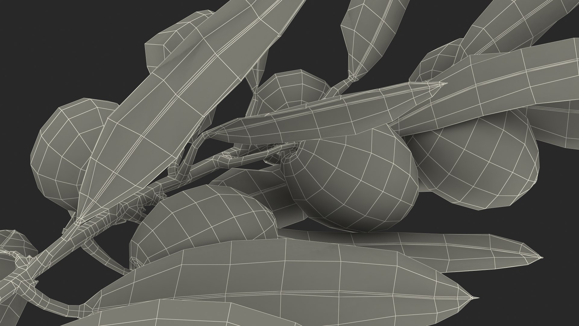 3D Olive Branch With Green Olives Lying - TurboSquid 1947590