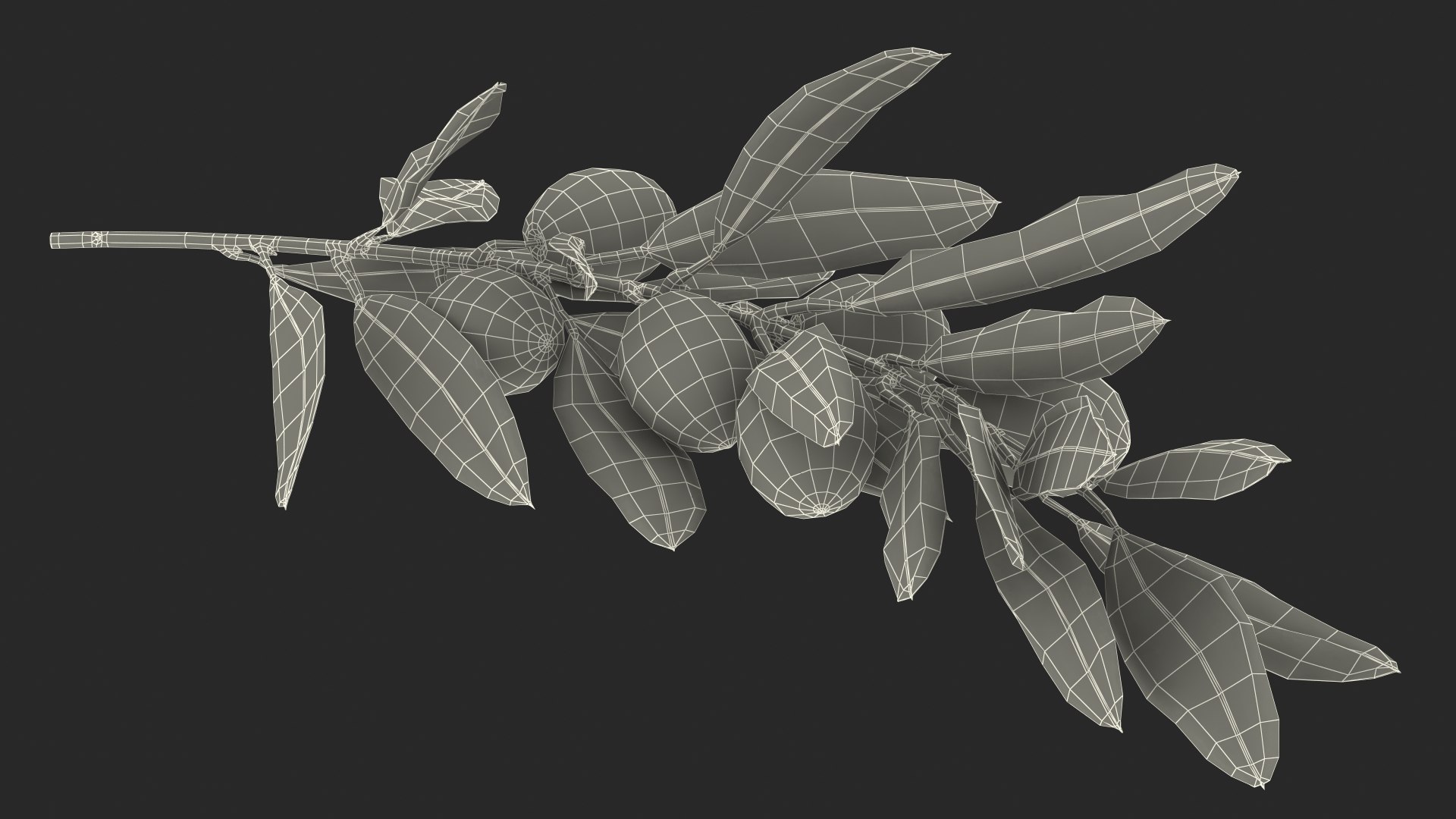 3D Olive Branch With Green Olives Lying - TurboSquid 1947590