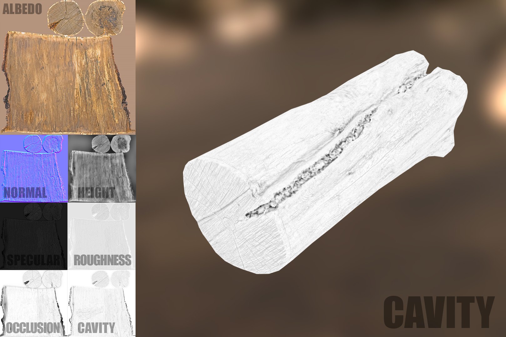 3D Log Photoscanned Object Model - TurboSquid 1279893