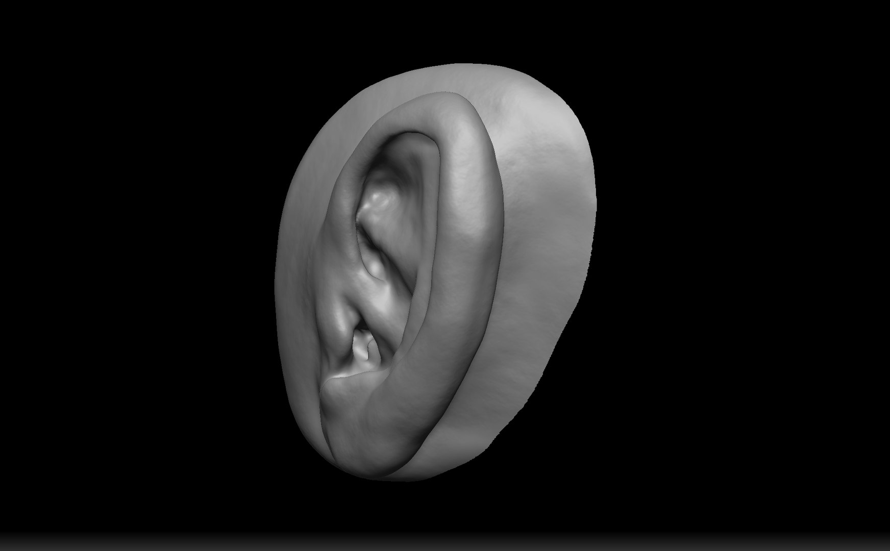 Realistic Human Ear 3D Model - TurboSquid 1983663