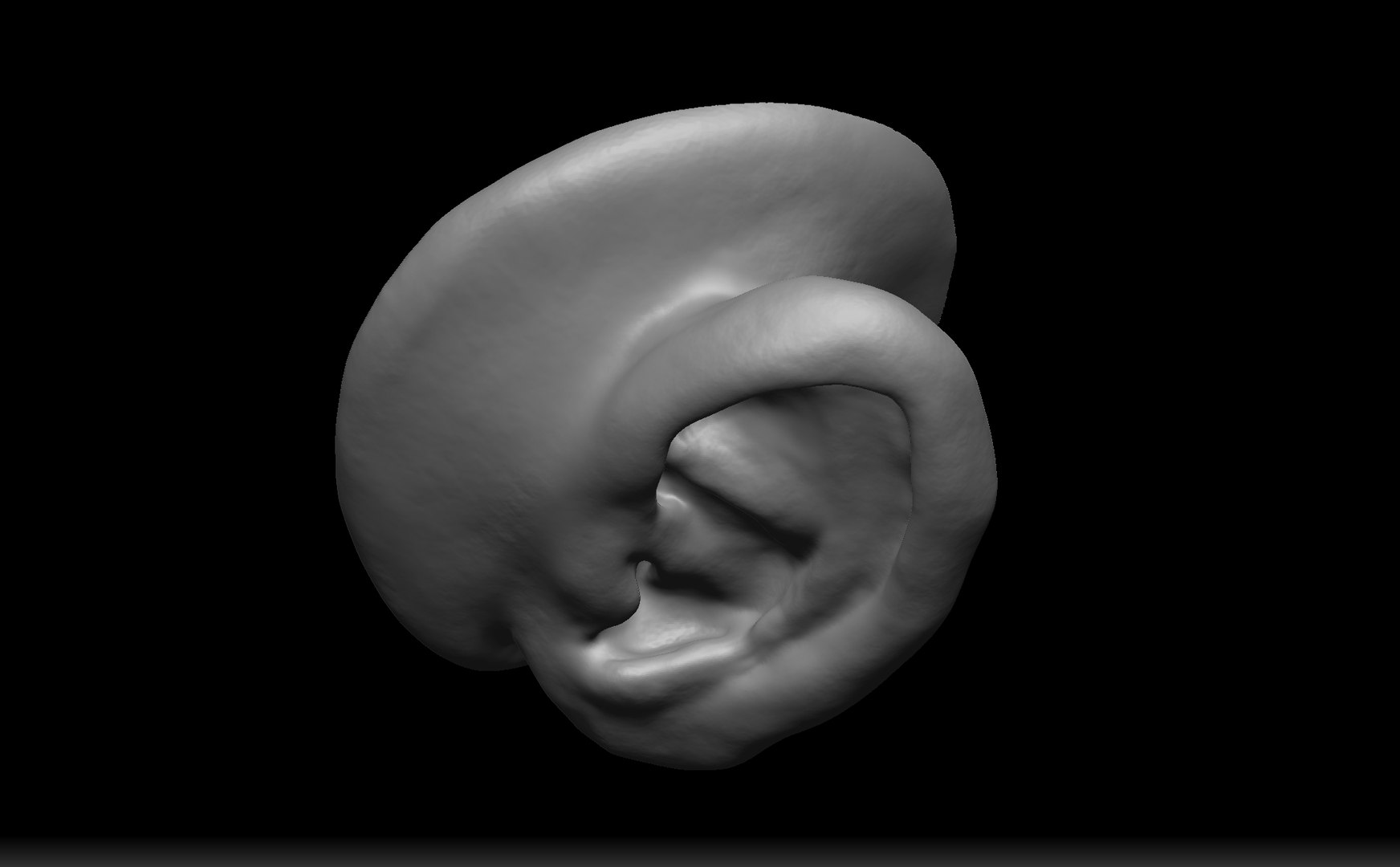 Realistic Human Ear 3D Model - TurboSquid 1983663