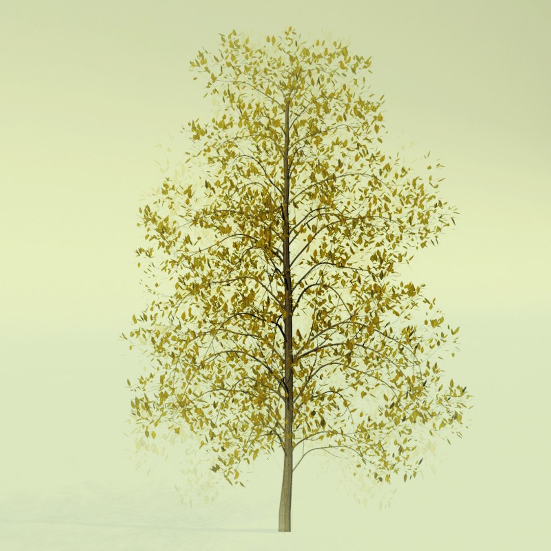 Autumn Trees 3d Model