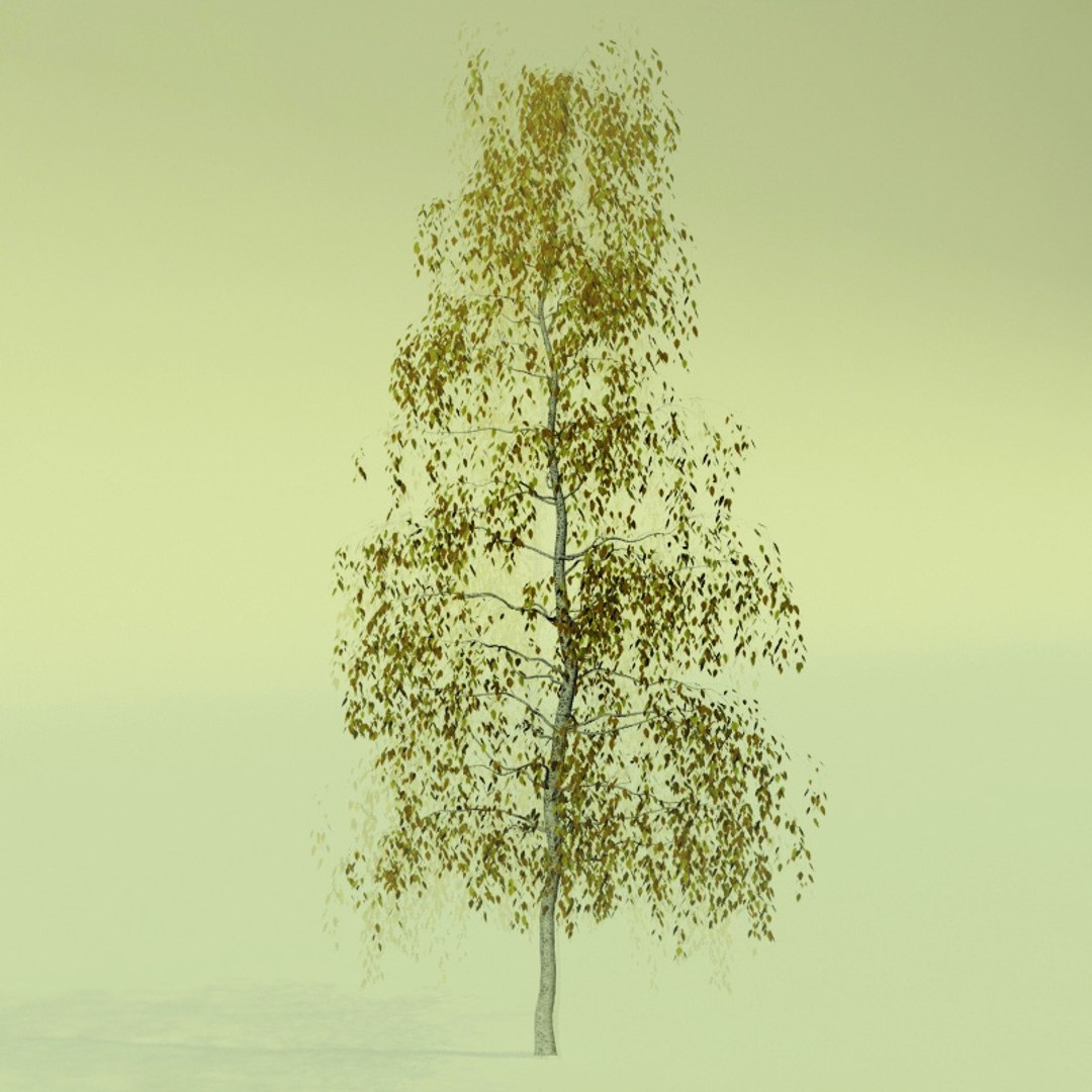 Autumn Trees 3d Model