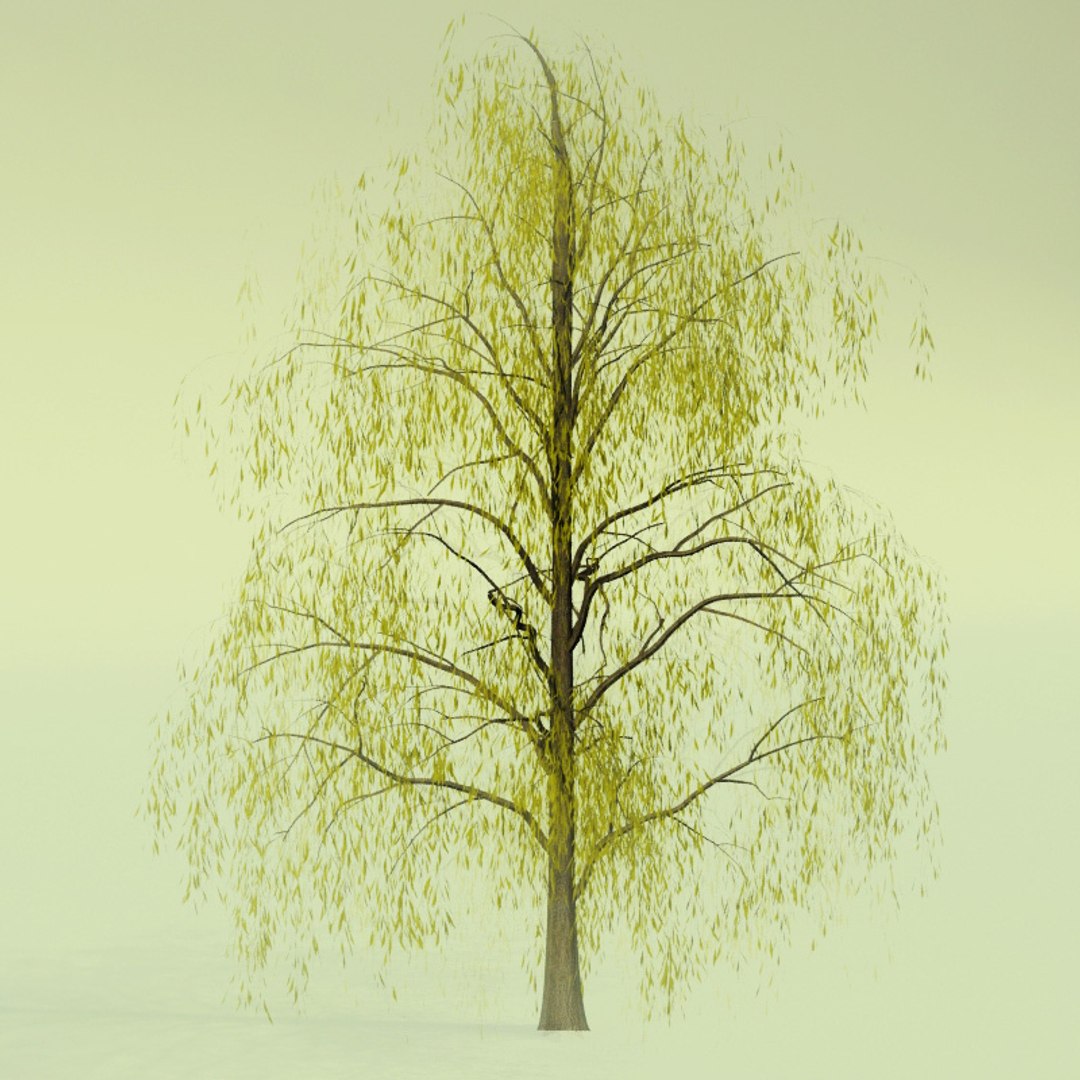 Autumn Trees 3d Model