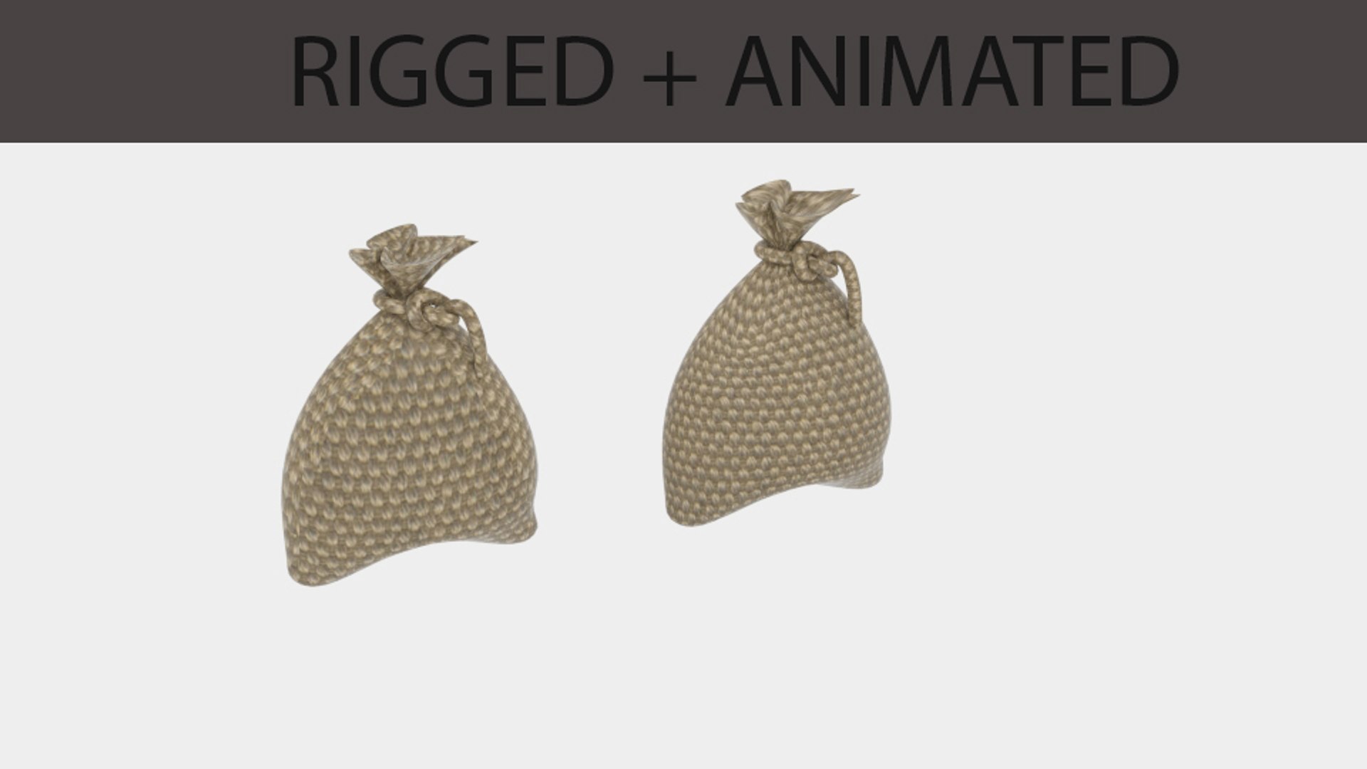 Bag Sack Anim 3D - TurboSquid 1279277