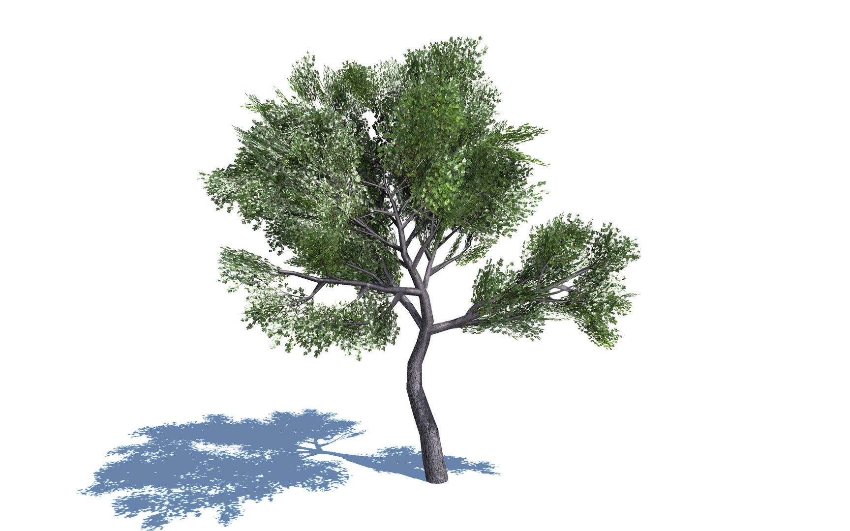 Natural Forest Trees 3D - TurboSquid 1513588
