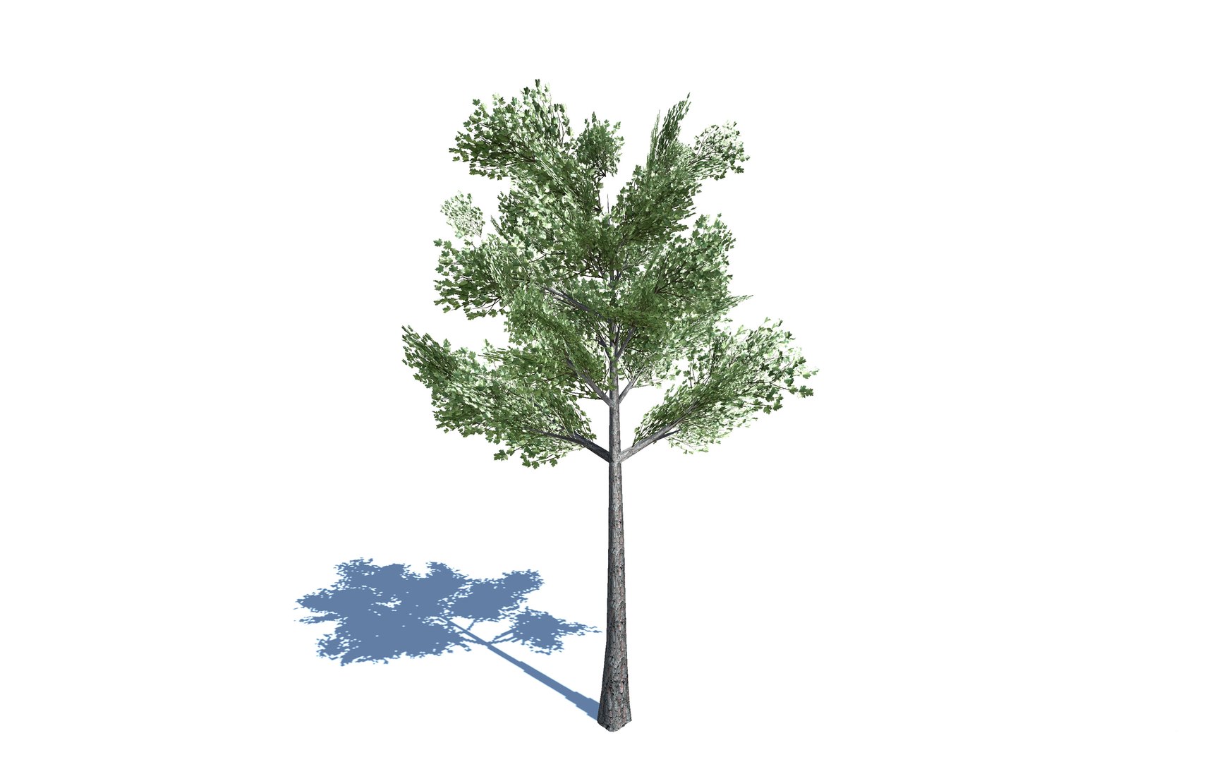 Natural Forest Trees 3D - TurboSquid 1513588