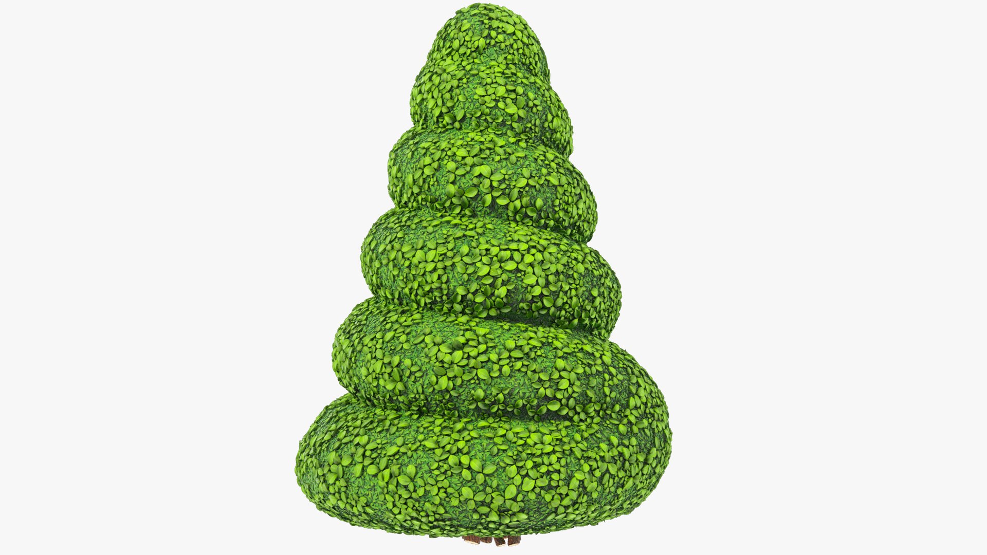 3D Stylized Spiral Bush V1 - TurboSquid 2094386