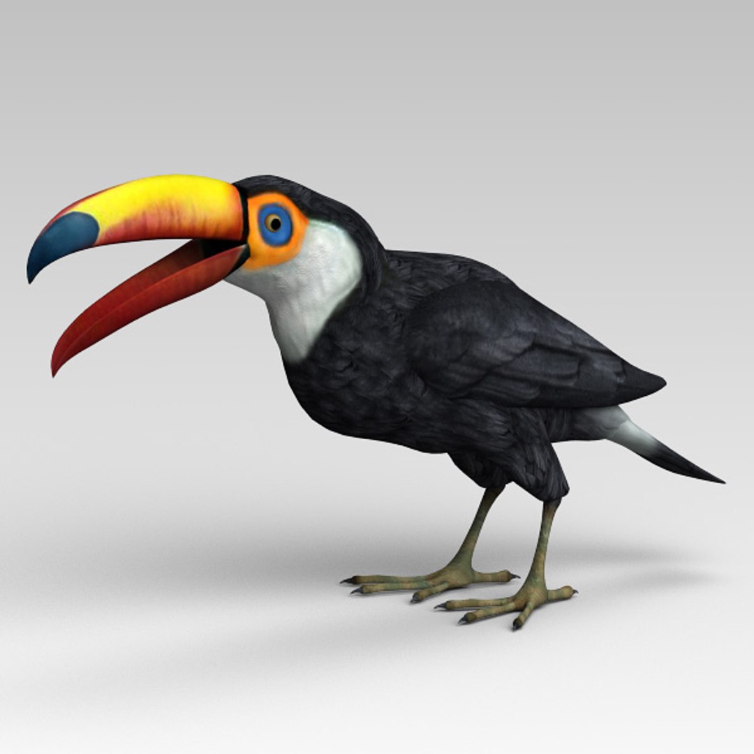 3d Model Of Bird