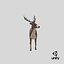 Stag---standing 3D Model - TurboSquid 1192981