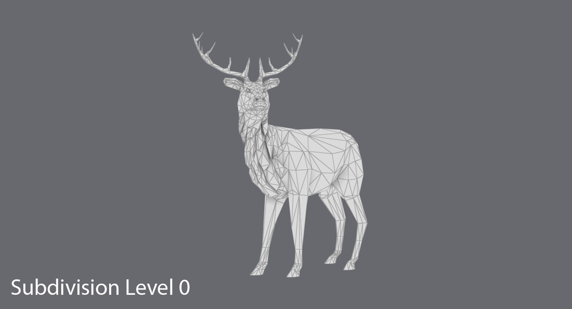 Stag---standing 3D Model - TurboSquid 1192981