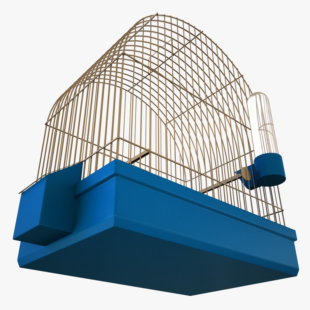 Birdcage Bird Cage 3d Model