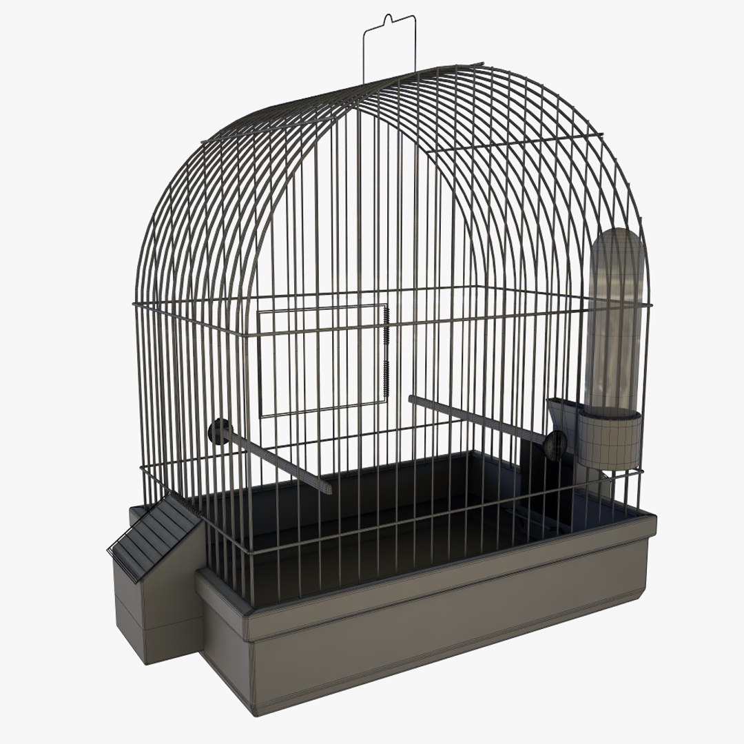 Birdcage Bird Cage 3d Model