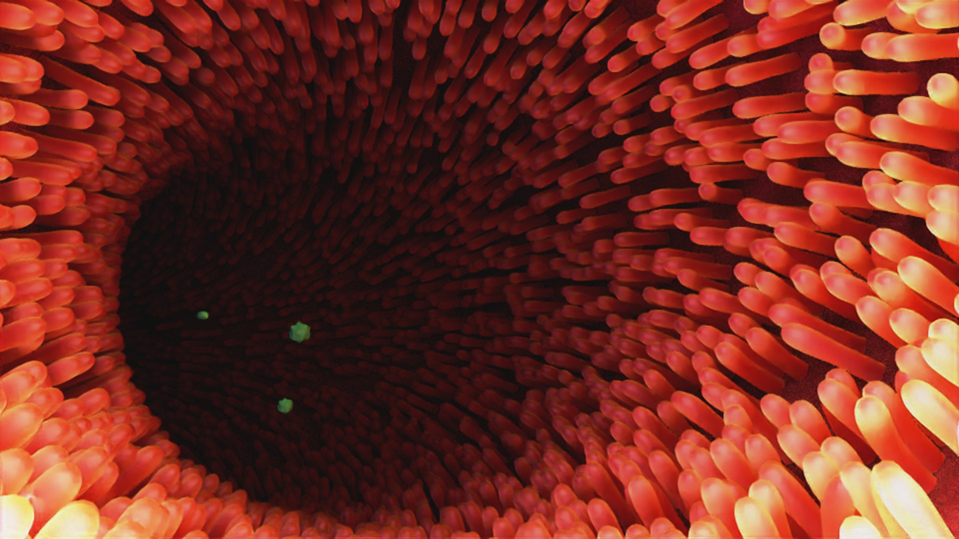 3D Intestine Medical Animation Model - TurboSquid 1565449