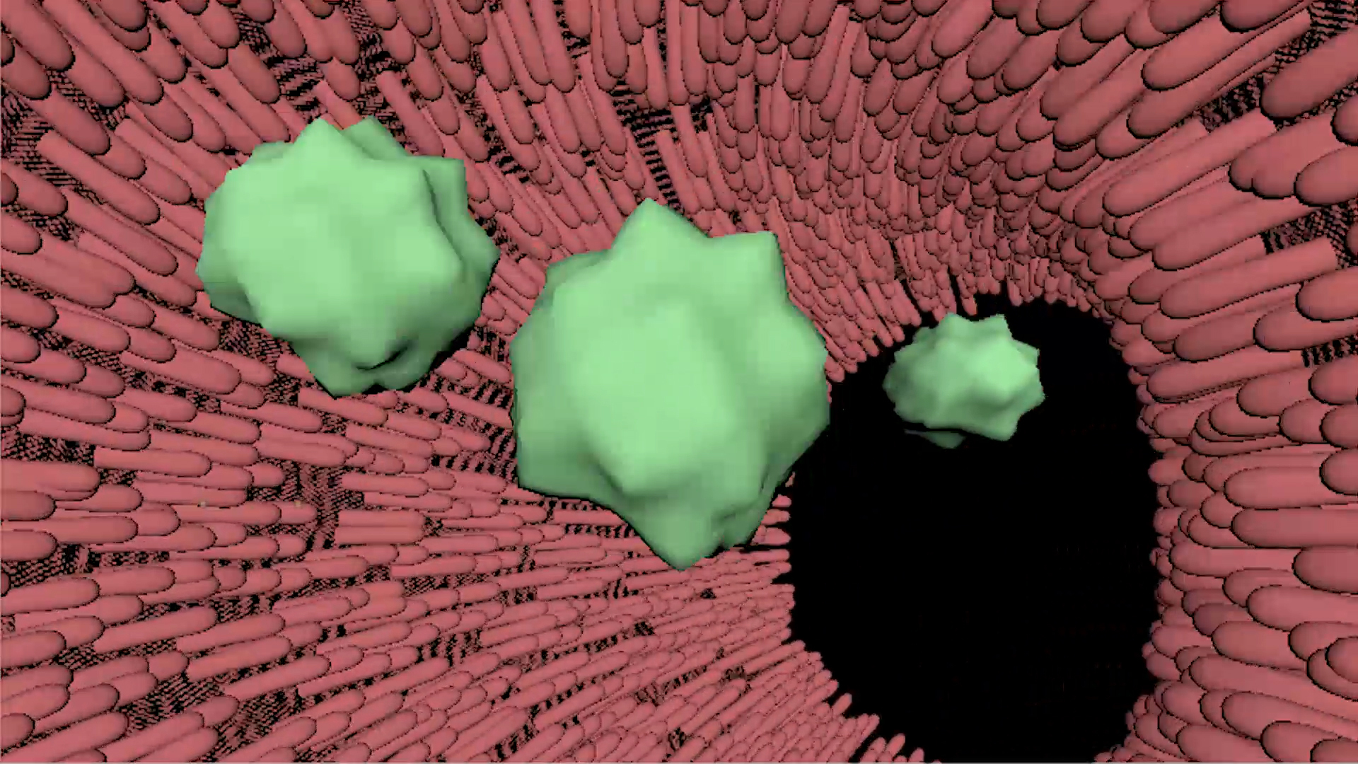 3D Intestine Medical Animation Model - TurboSquid 1565449