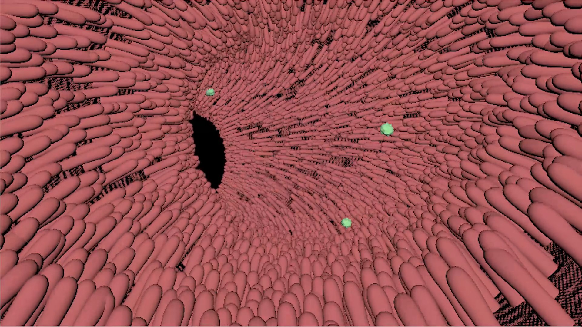 3D Intestine Medical Animation Model - TurboSquid 1565449