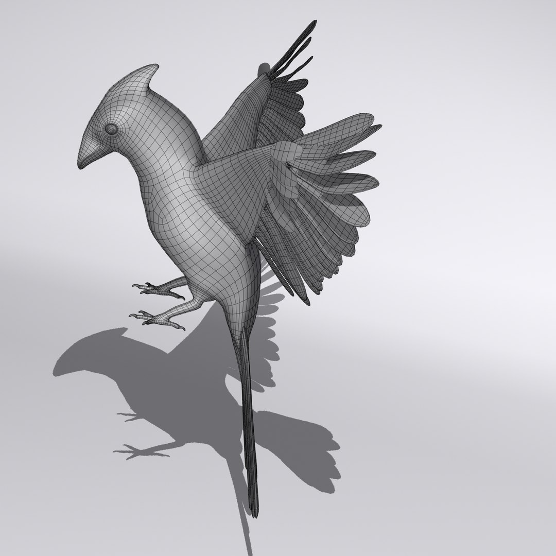 3d Model Northern Cardinal