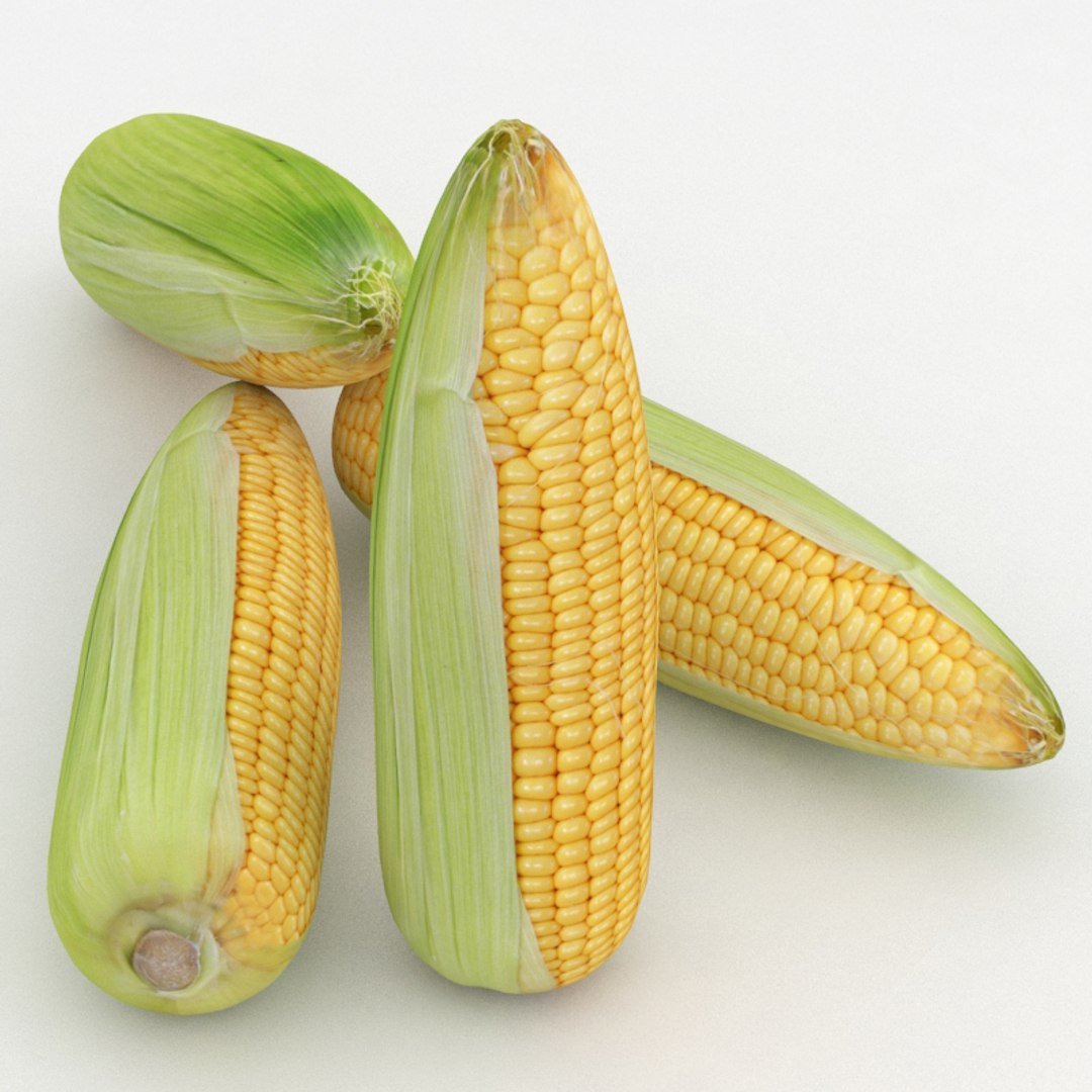 3D vegetable corn maize model - TurboSquid 1197849