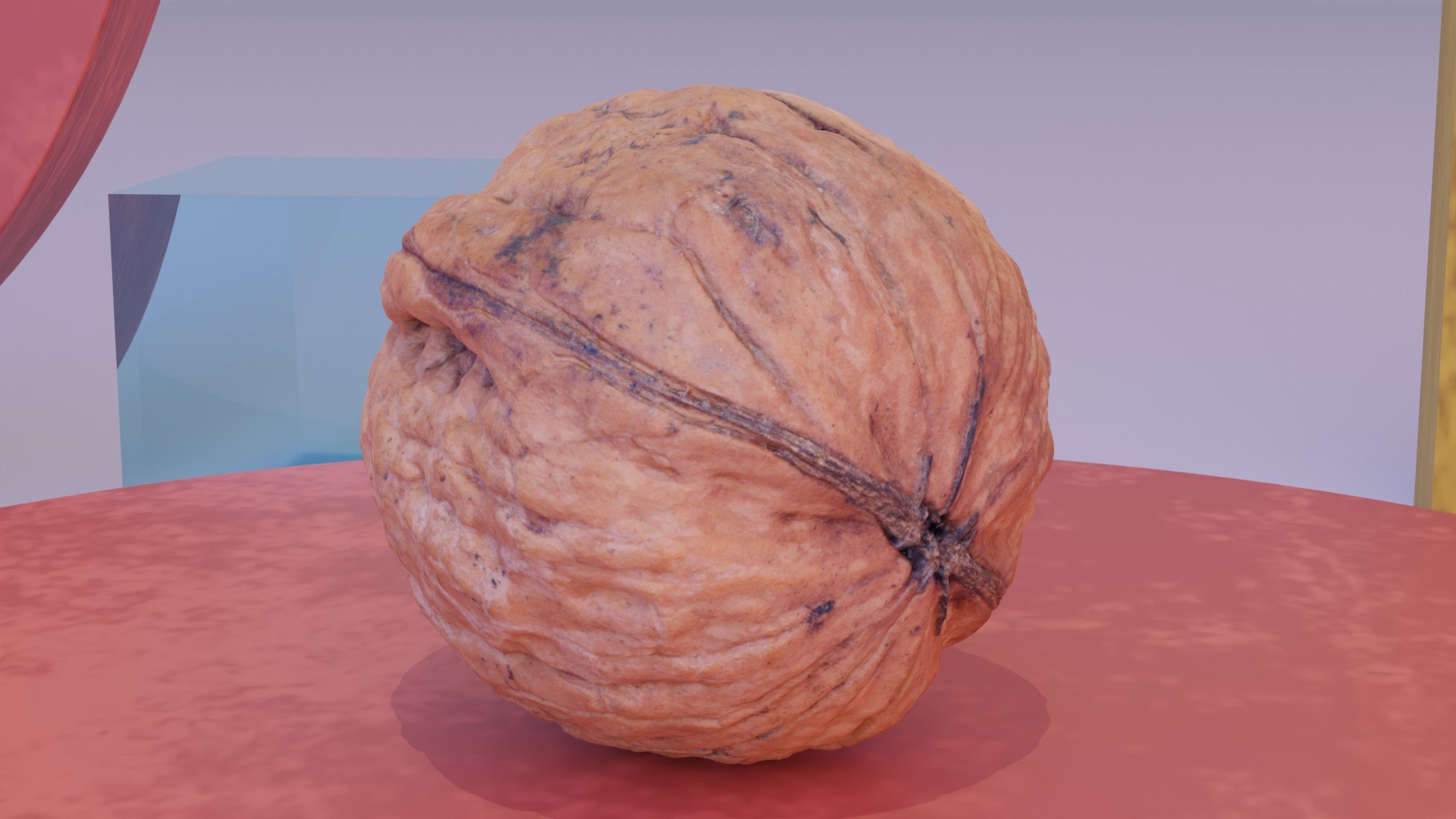 Walnut Fruit 07 High-poly 3D Model Model - TurboSquid 1843547