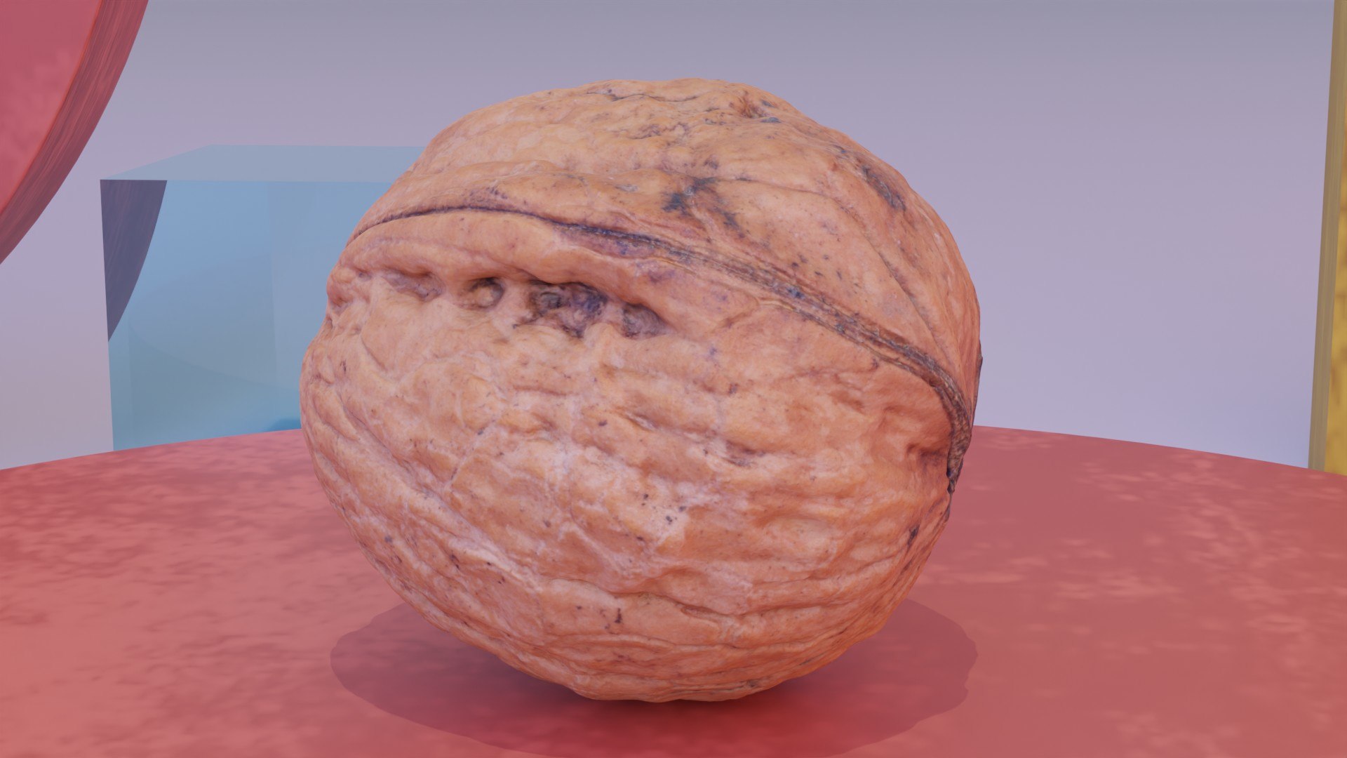 Walnut Fruit 07 High-poly 3D Model Model - TurboSquid 1843547