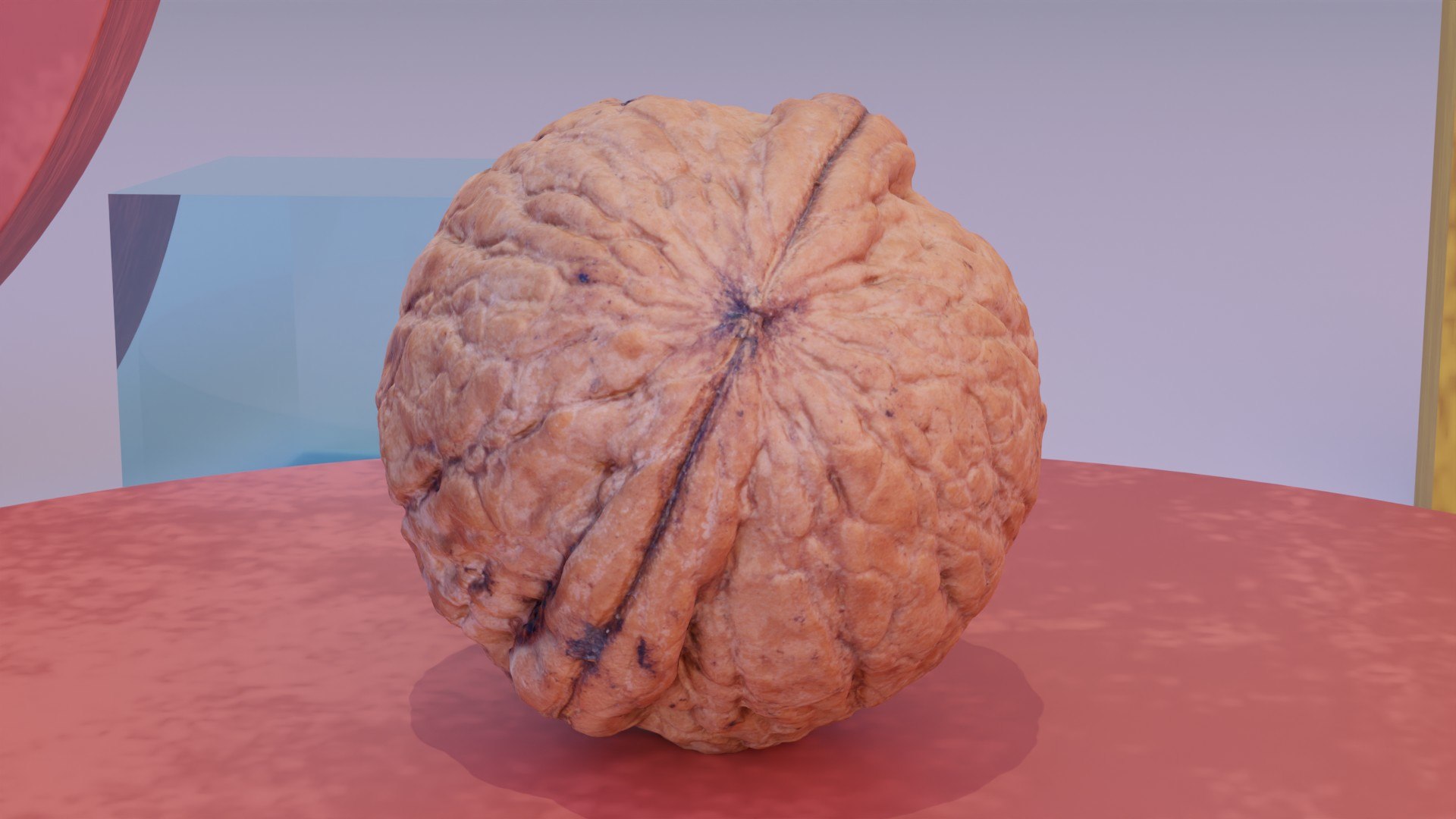 Walnut Fruit 07 High-poly 3D Model Model - TurboSquid 1843547