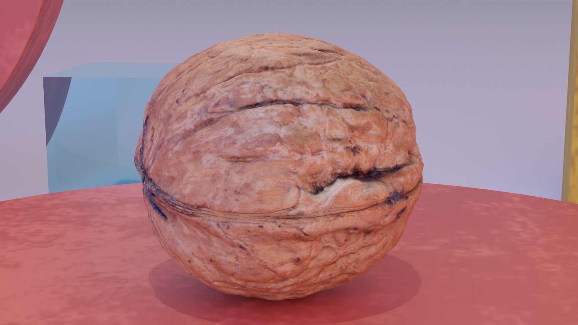 Walnut Fruit 07 High-poly 3D Model Model - TurboSquid 1843547