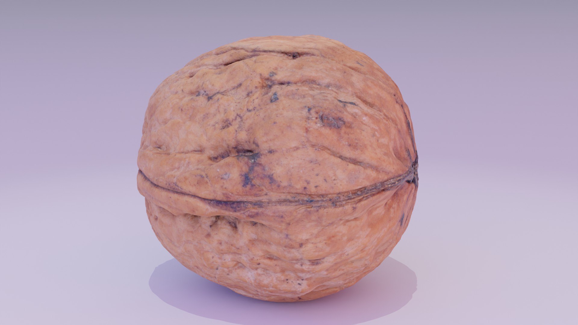 Walnut Fruit 07 High-poly 3D Model Model - TurboSquid 1843547