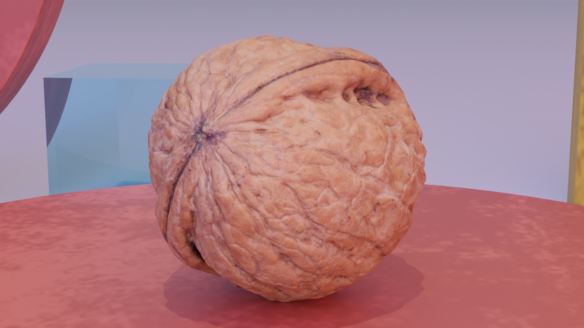 Walnut Fruit 07 High-poly 3D Model Model - TurboSquid 1843547