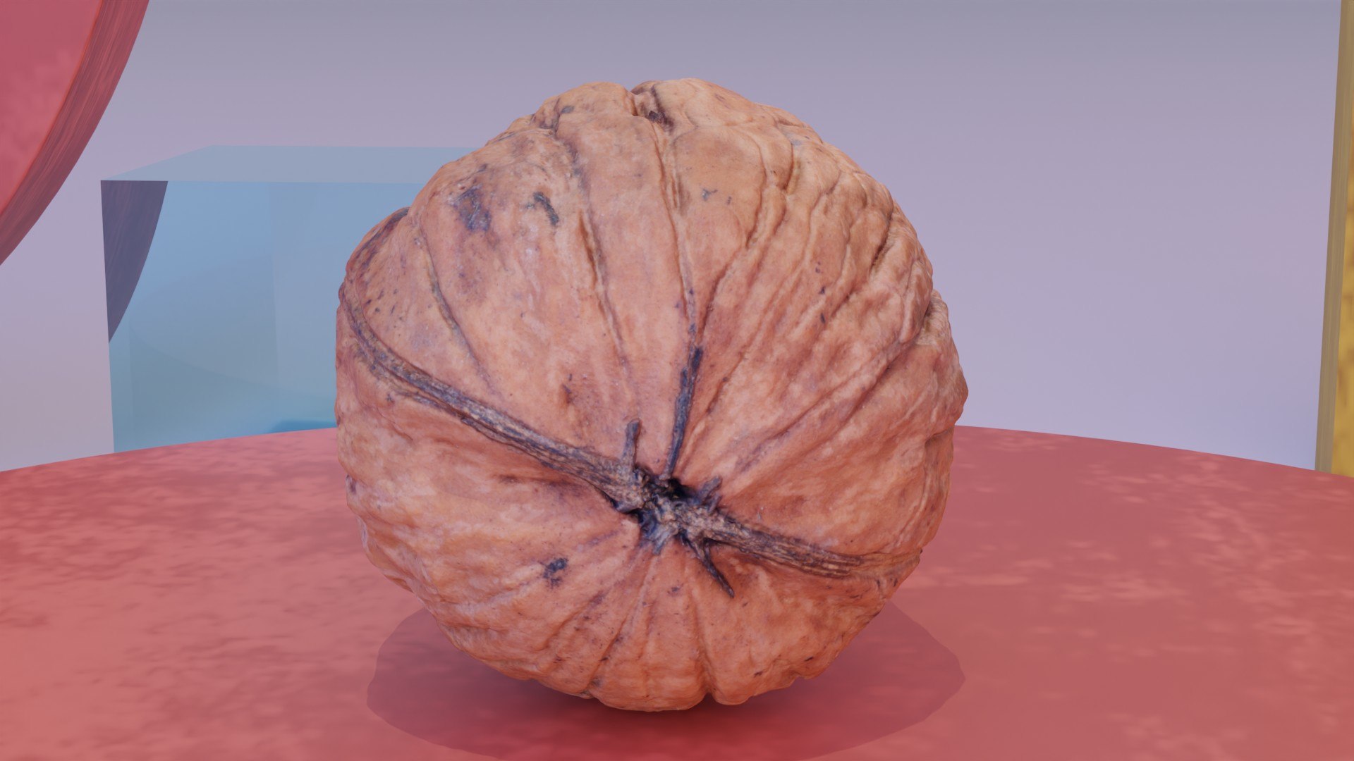 Walnut Fruit 07 High-poly 3D Model Model - TurboSquid 1843547