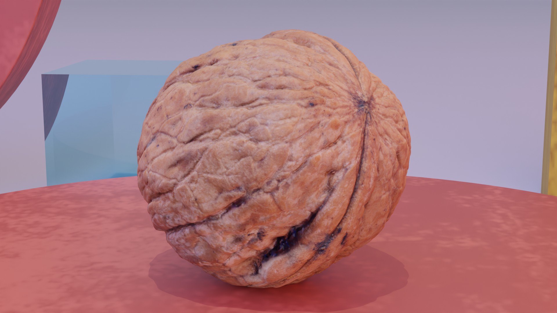 Walnut Fruit 07 High-poly 3D Model Model - TurboSquid 1843547