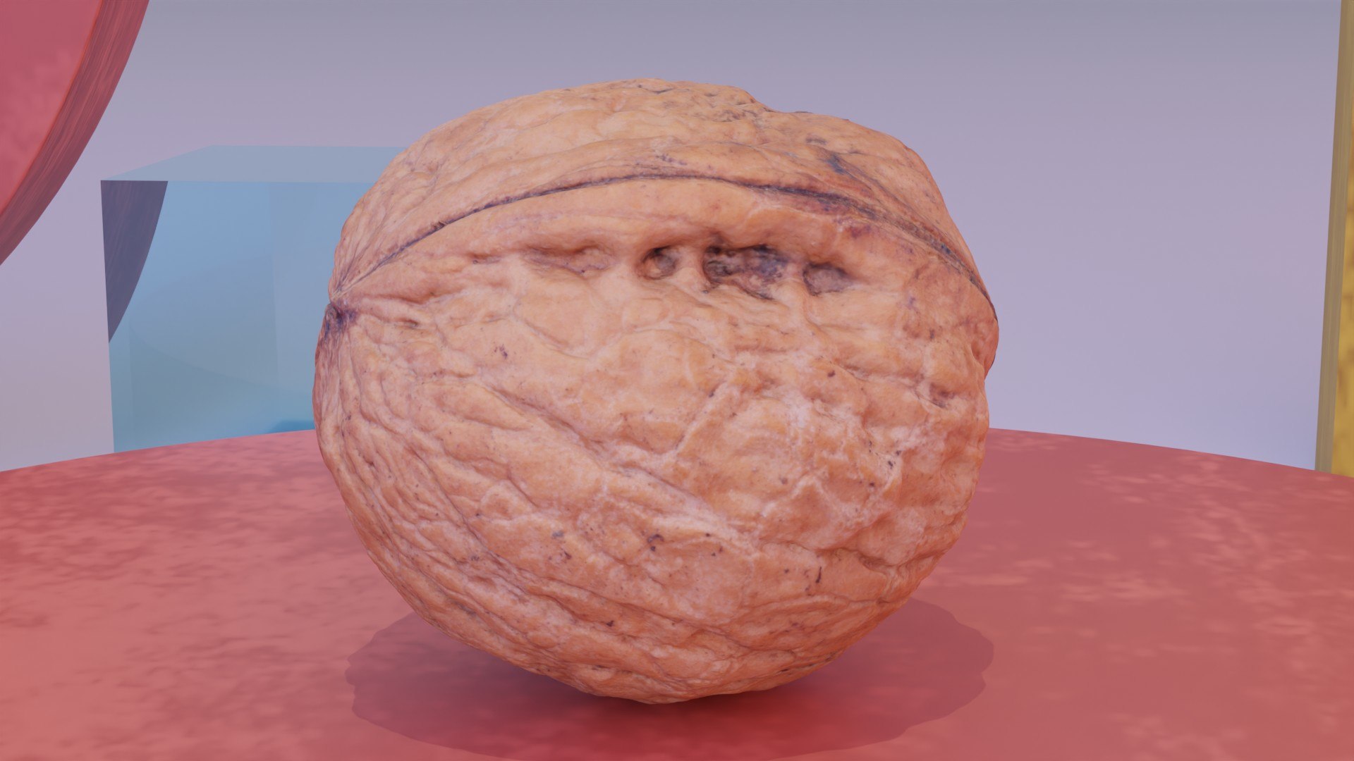 Walnut Fruit 07 High-poly 3D Model Model - TurboSquid 1843547