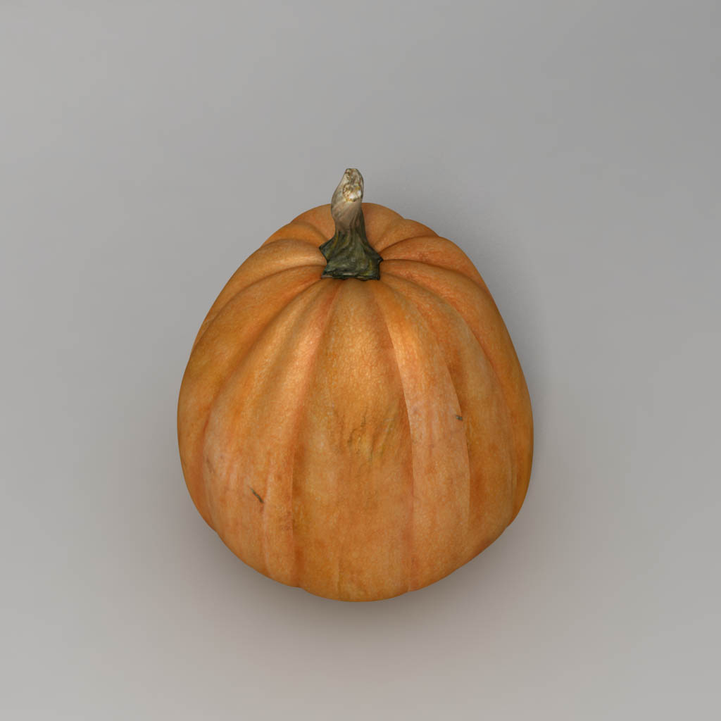 free pumpkin 3d model