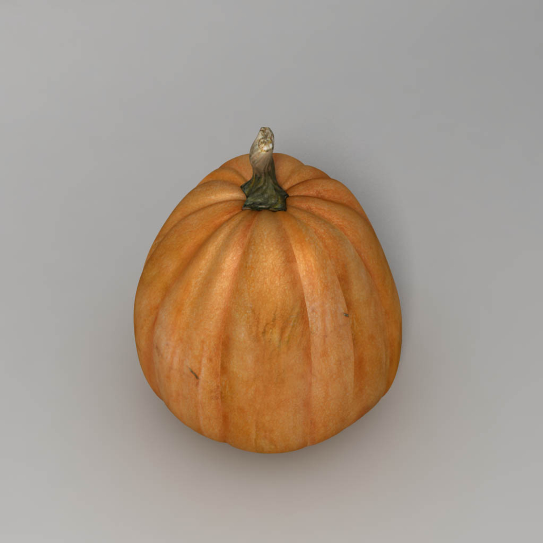 free pumpkin 3d model