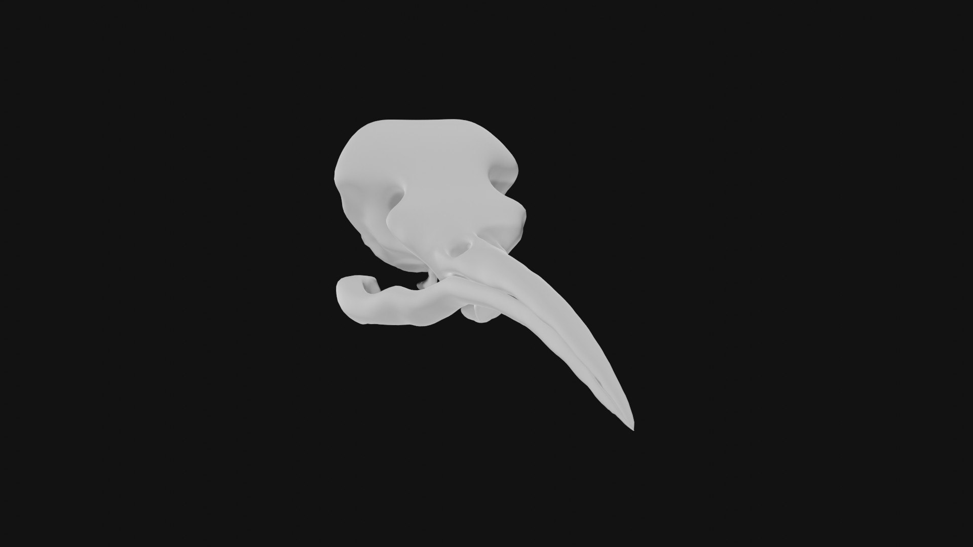 3D Model Hummingbird Skull - TurboSquid 1991841